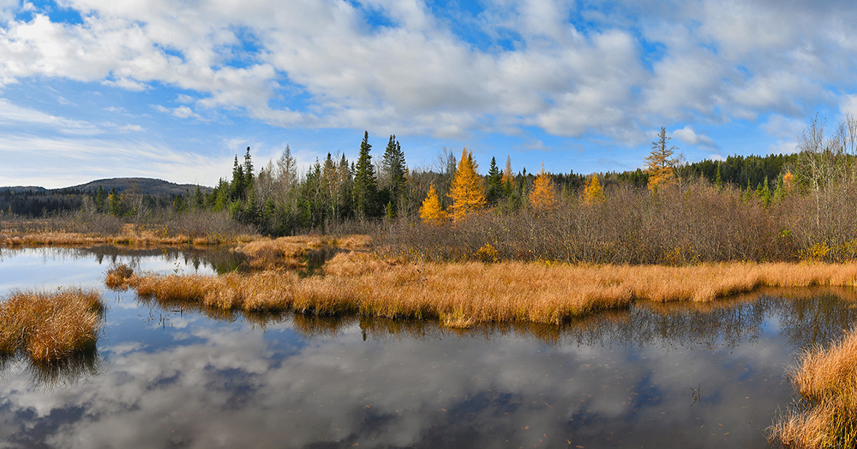 Plan régional des milieux humides et hydriques