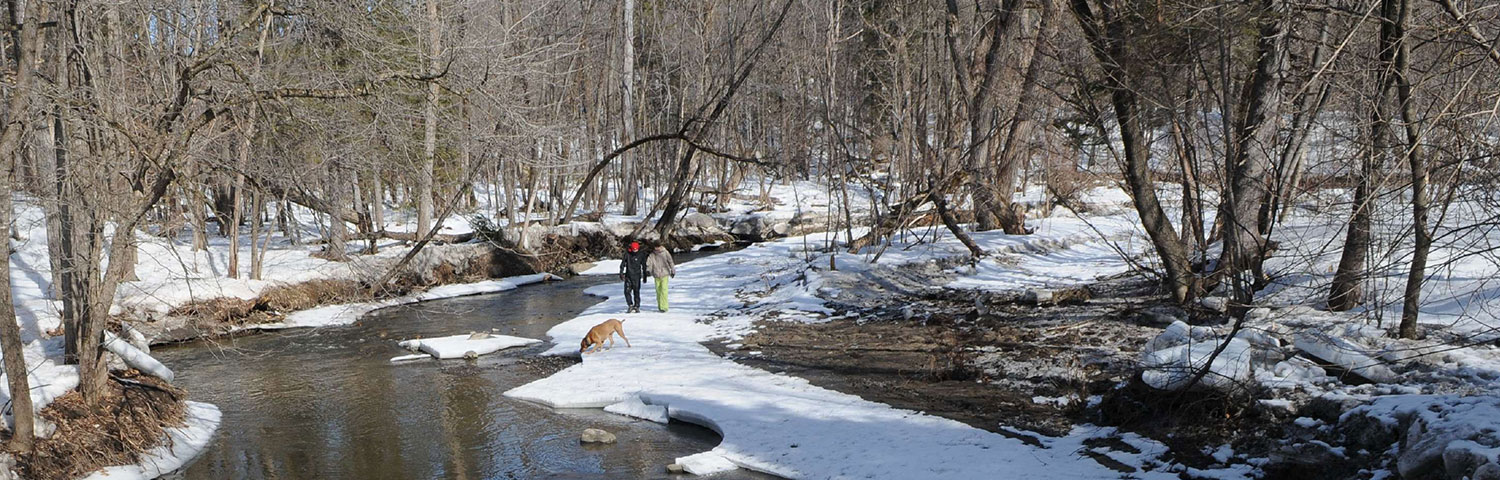 Parc de l'Escarpement